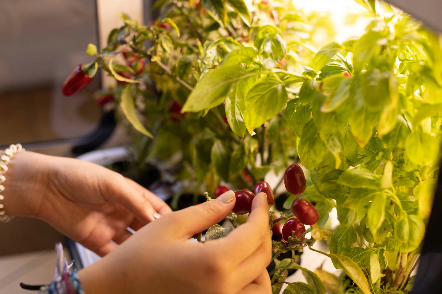 Parcours sensoriel : 7 expériences à vivre pour retrouver nos 5 sens ...